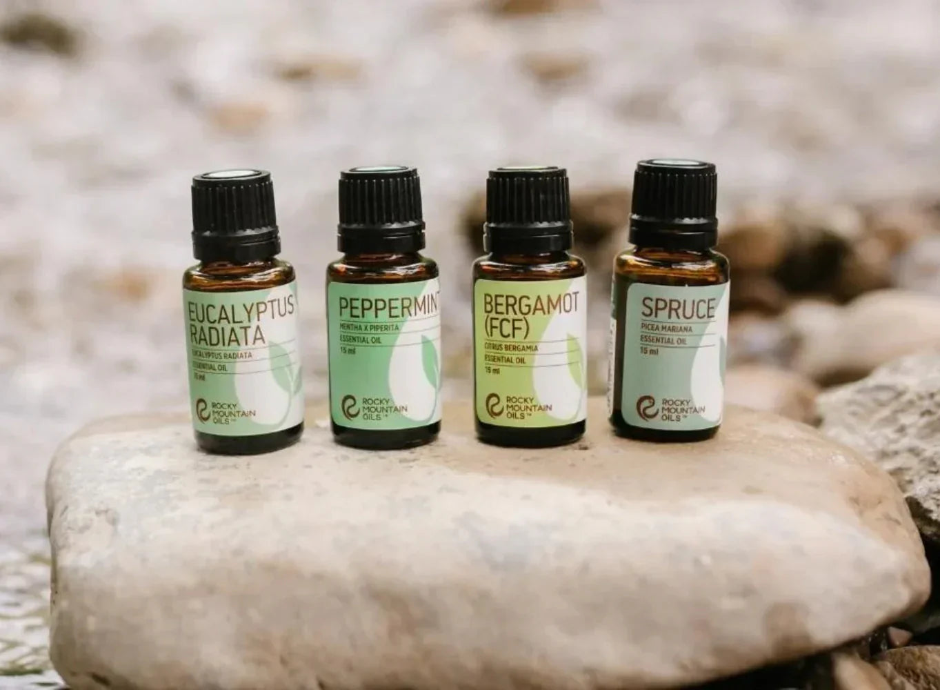 6 Nature-Inspired Diffuser Blends to Bring the Outdoors In – Rocky ...
