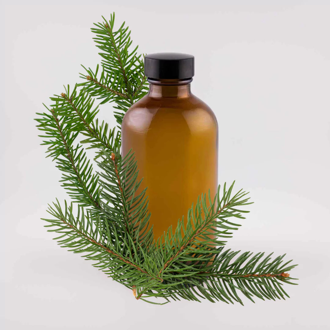 Spruce Essential Oil 100% Pure | Rocky Mountain Oils